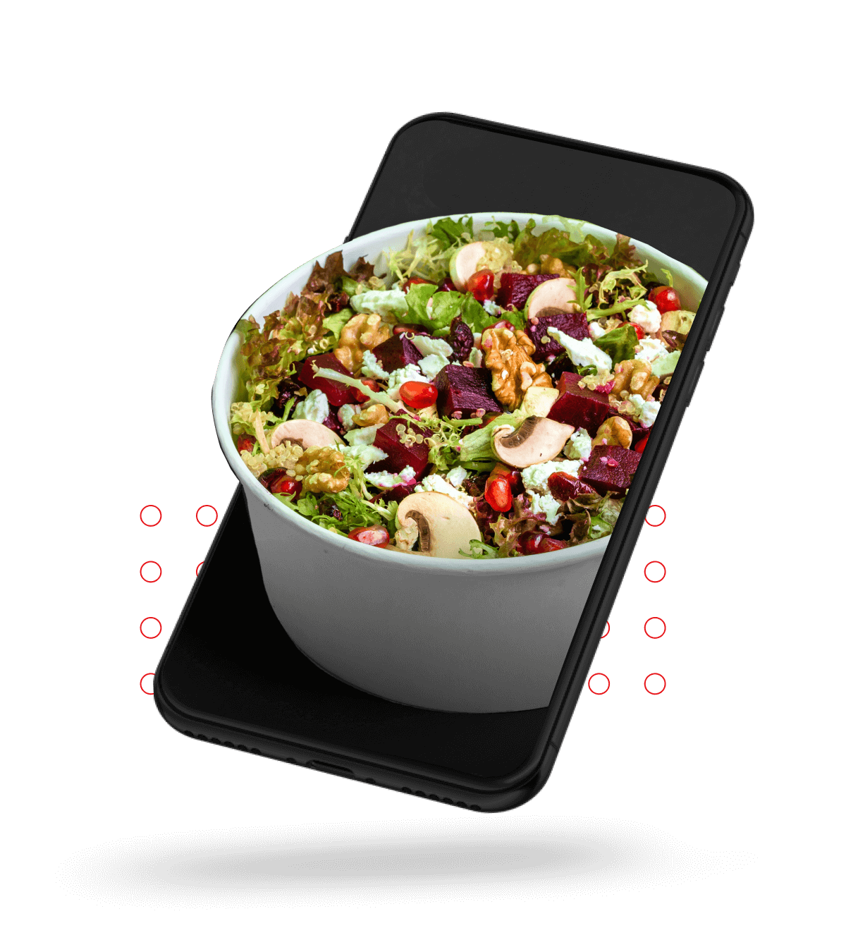 High-Performance Web Development for Meal Delivery Services | SWOO