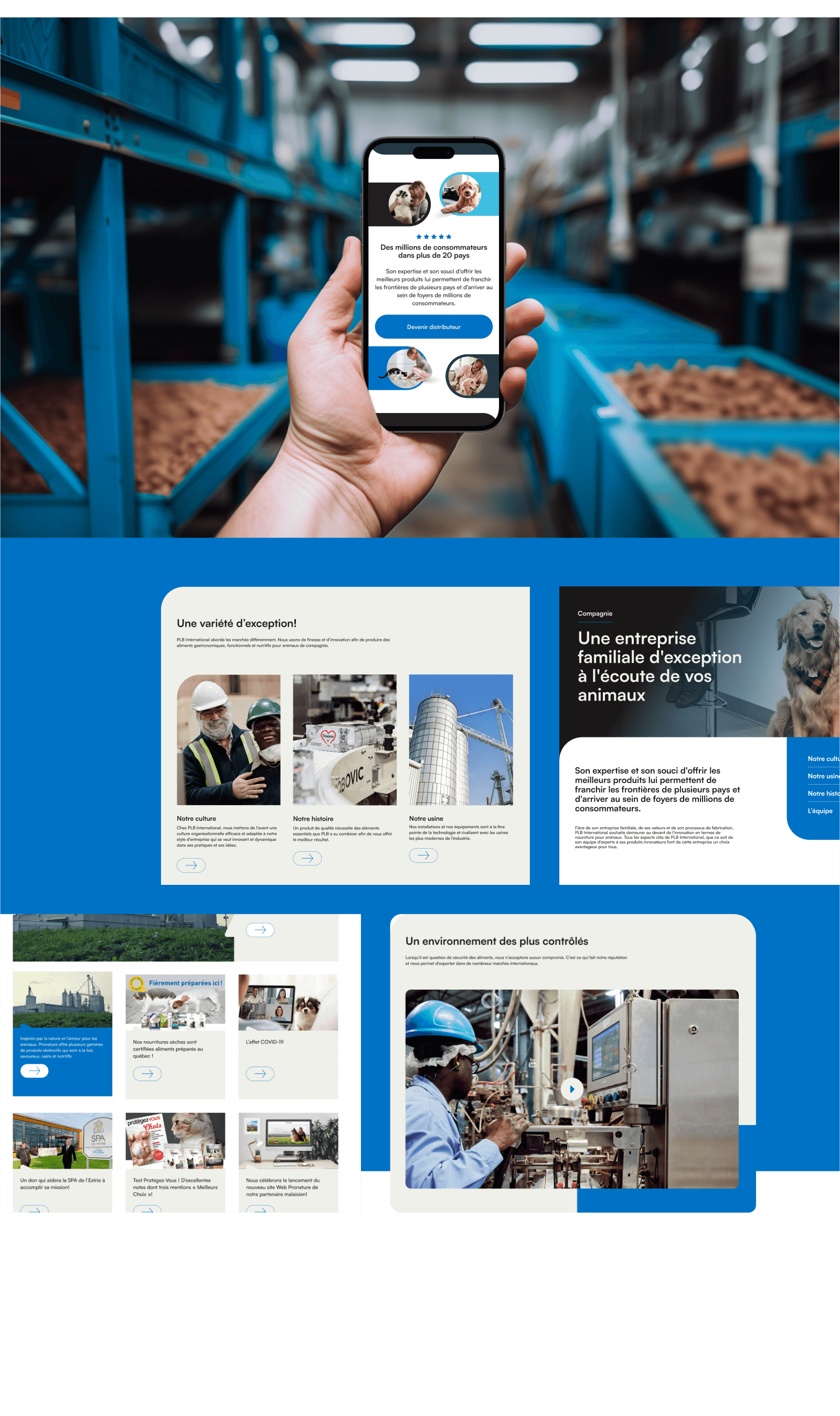 PLB International - Swoo Digital Agency