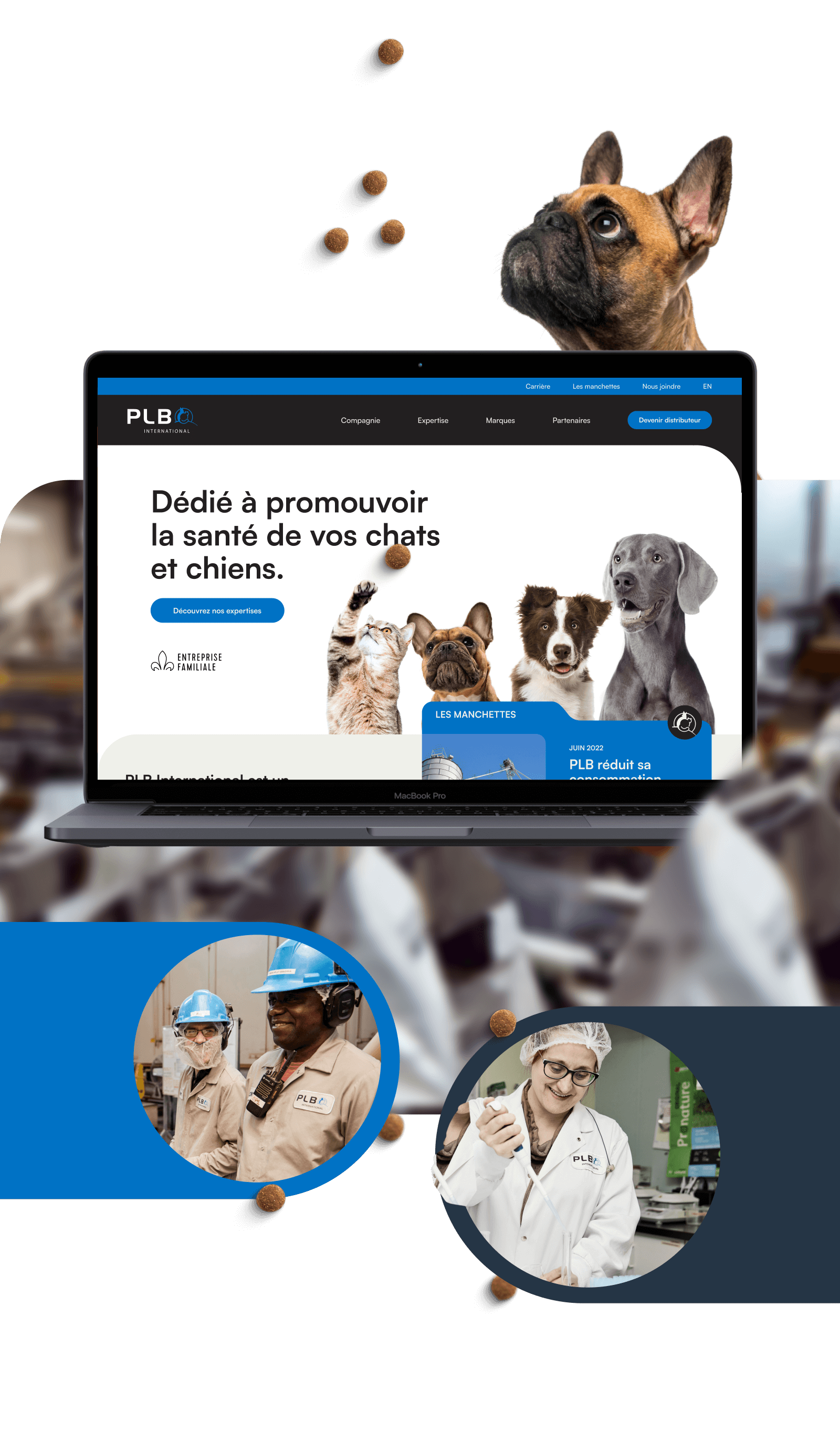 PLB International - Swoo Digital Agency